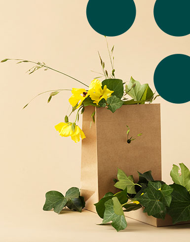 EU's emballagedirektiv 2025 | Scanlux Packaging