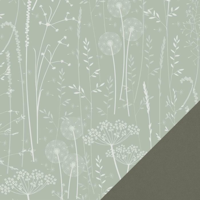 Store Packaging | Scanlux Packaging